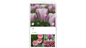 What is Google Lens: How it Works and Should You Use It? | CitizenSide