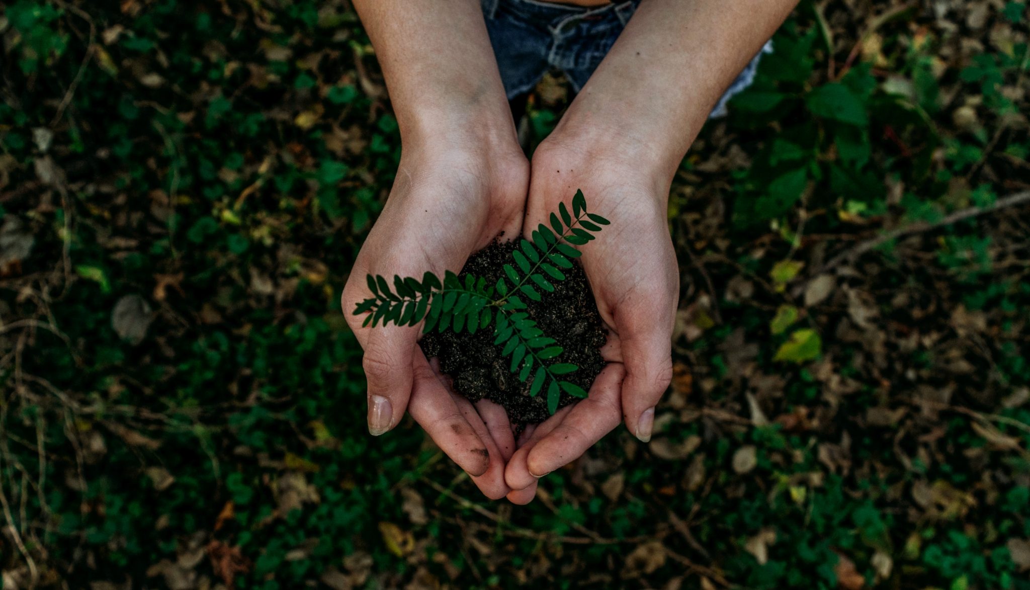 What is Goblincore: Celebrating The Wild, Dirty, and Ugly | CitizenSide