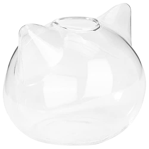 11 Unbelievable Cat Vase for 2023 | CitizenSide